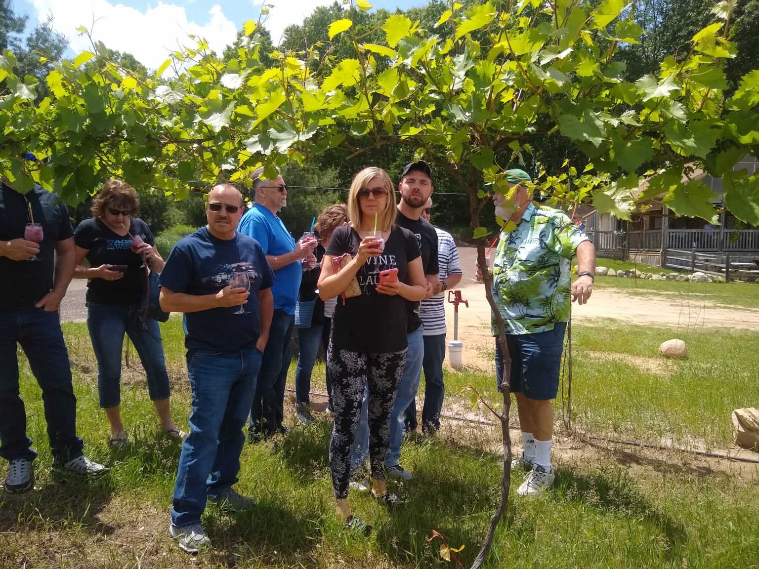 Photos - Flying Otter Vineyard & Winery