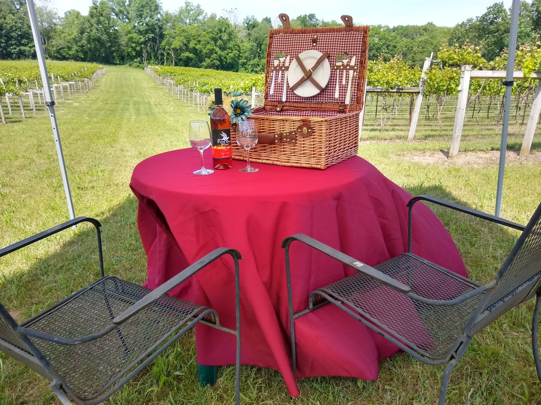 Photos - Flying Otter Vineyard & Winery